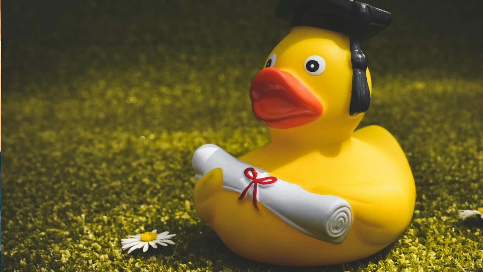 How Do Platforms Use Quirky Mascots to Build User Loyalty ...